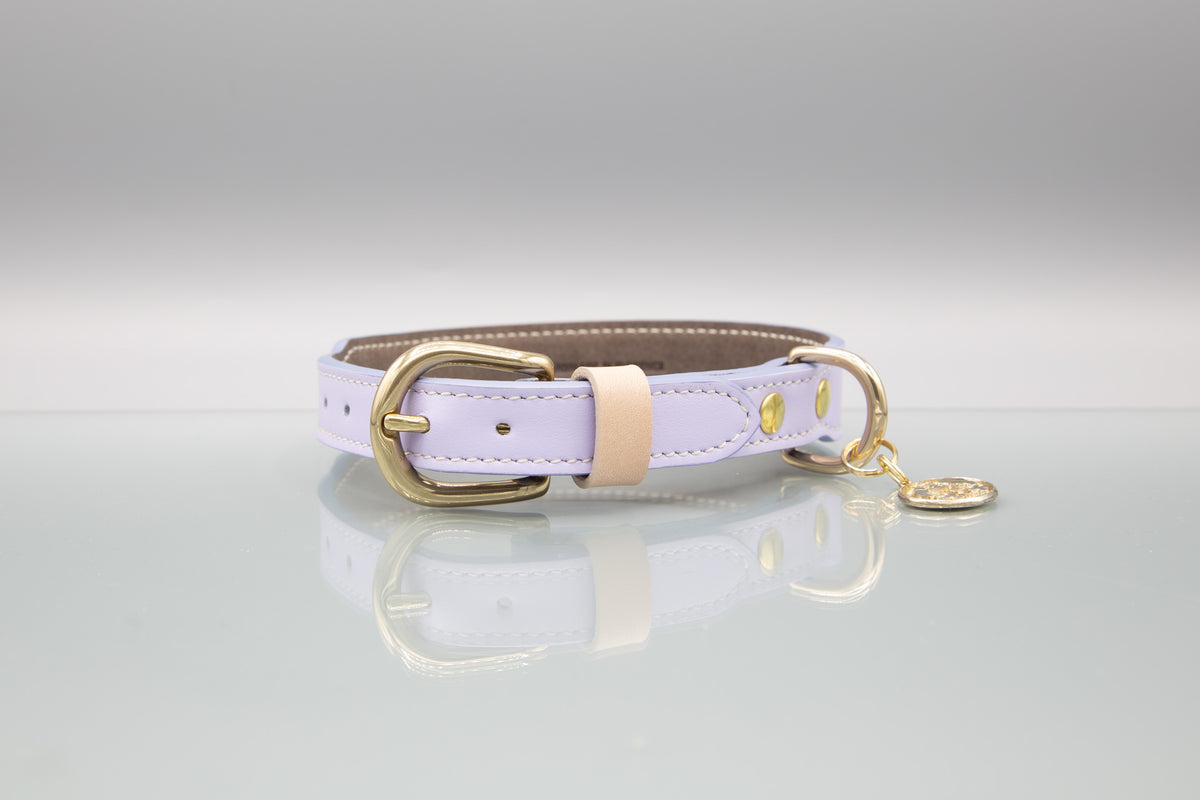 Luxe Pastel collar – Kanineindia