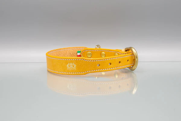 Luxe Pastel collar – Kanineindia