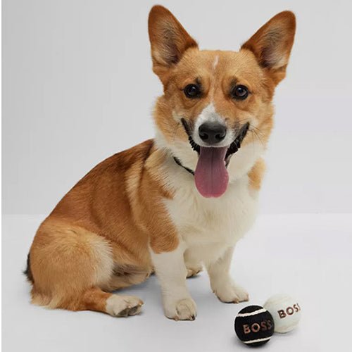 Kanineindia: Pet Store Online | Pet Products Online | Online Pet Store